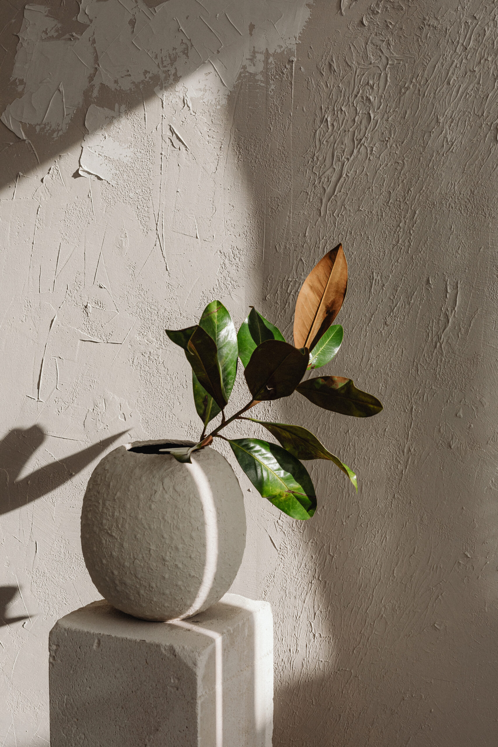 Autumn 2024 Interior Design and Decor Trends